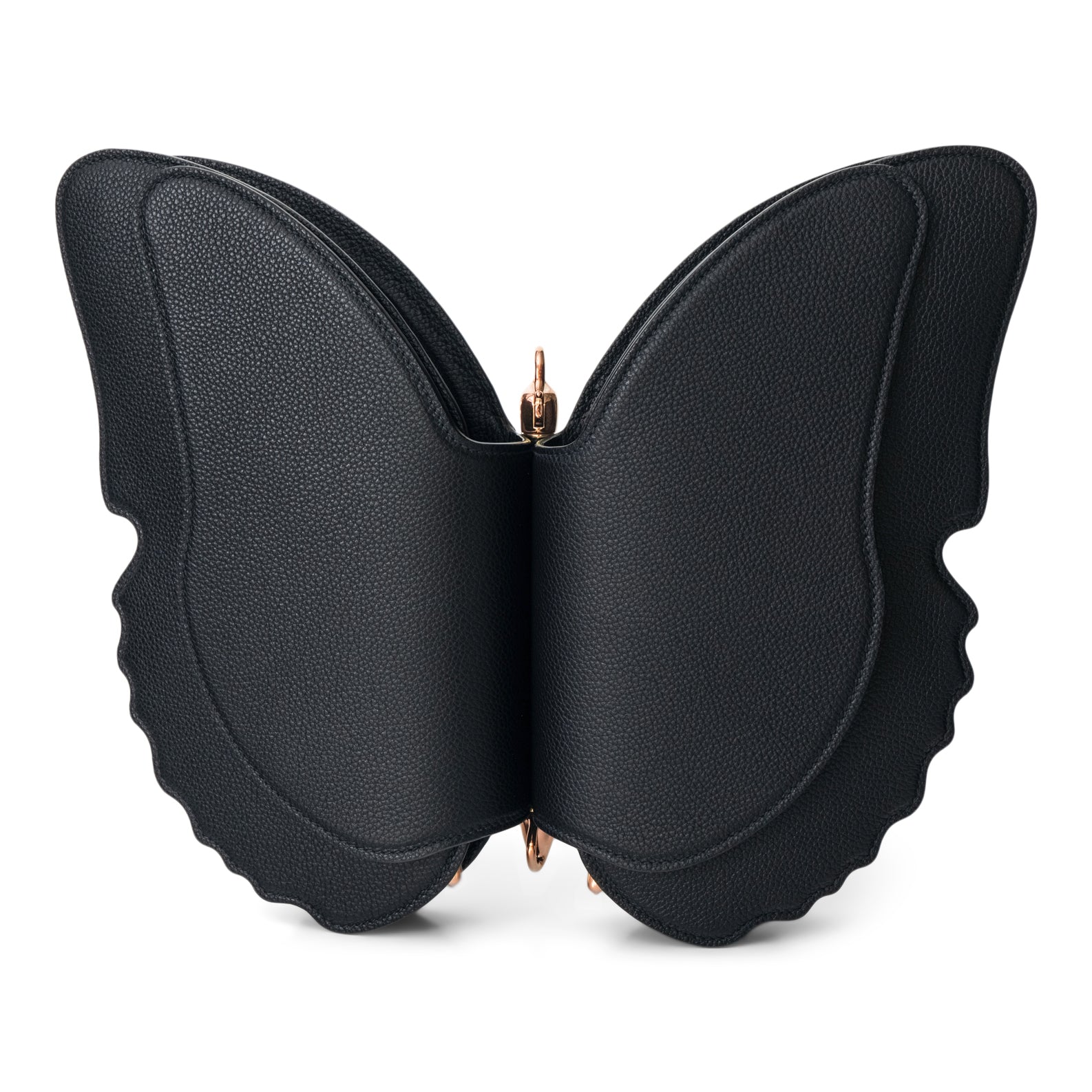 The Butterfly bag